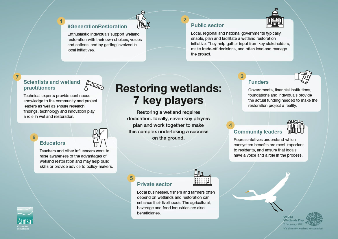 Watershed Wednesday: Wetlands — Gallatin Watershed Council
