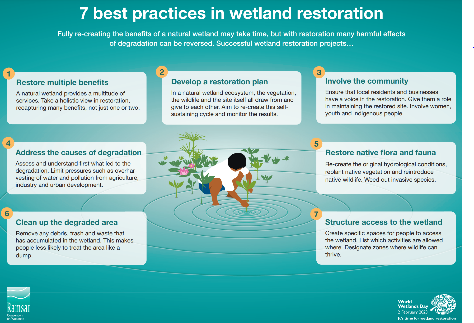Watershed Wednesday: Wetlands — Gallatin Watershed Council