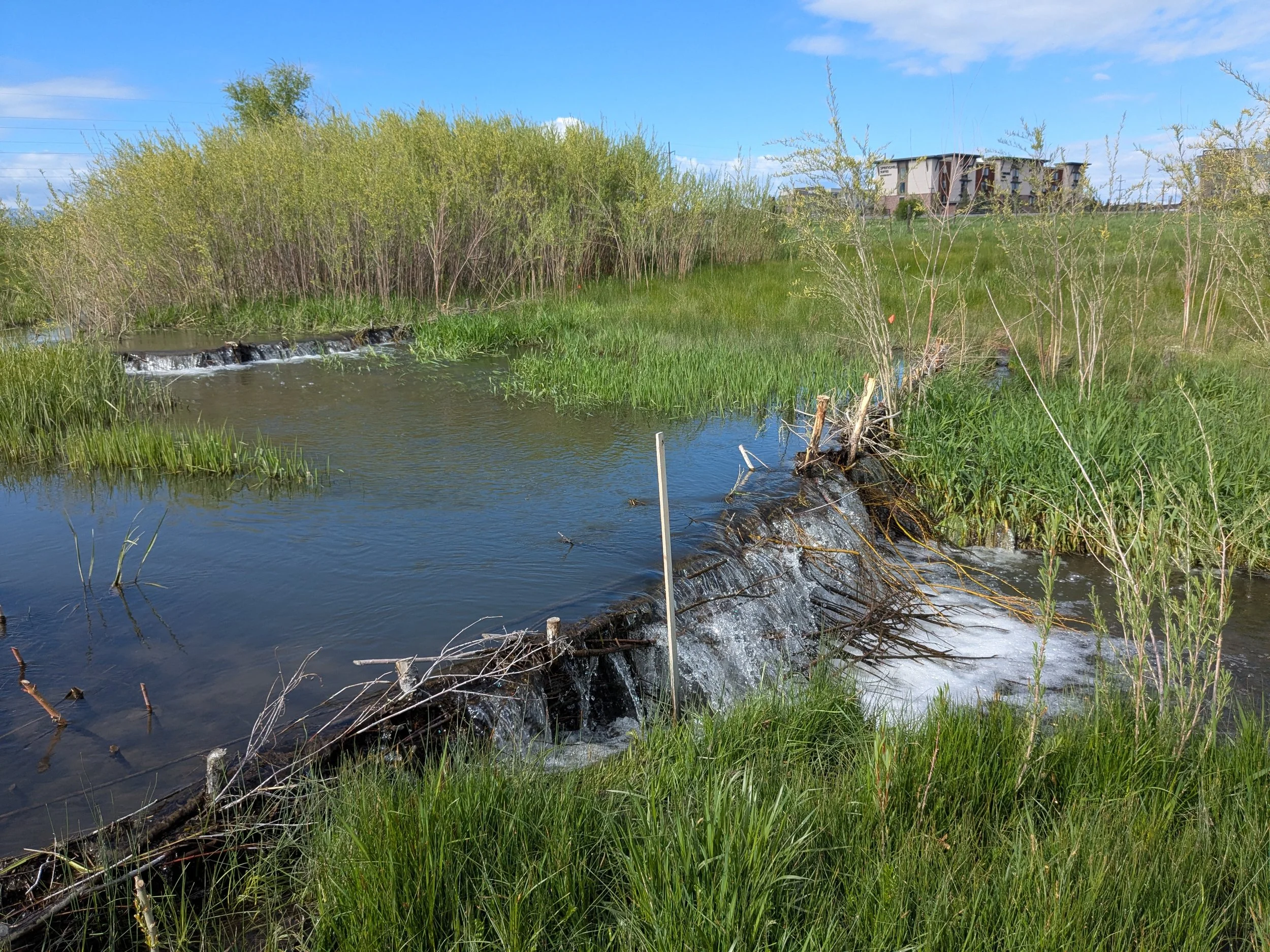 Proposed Changes for Implementing the Clean Water Act Remove ...