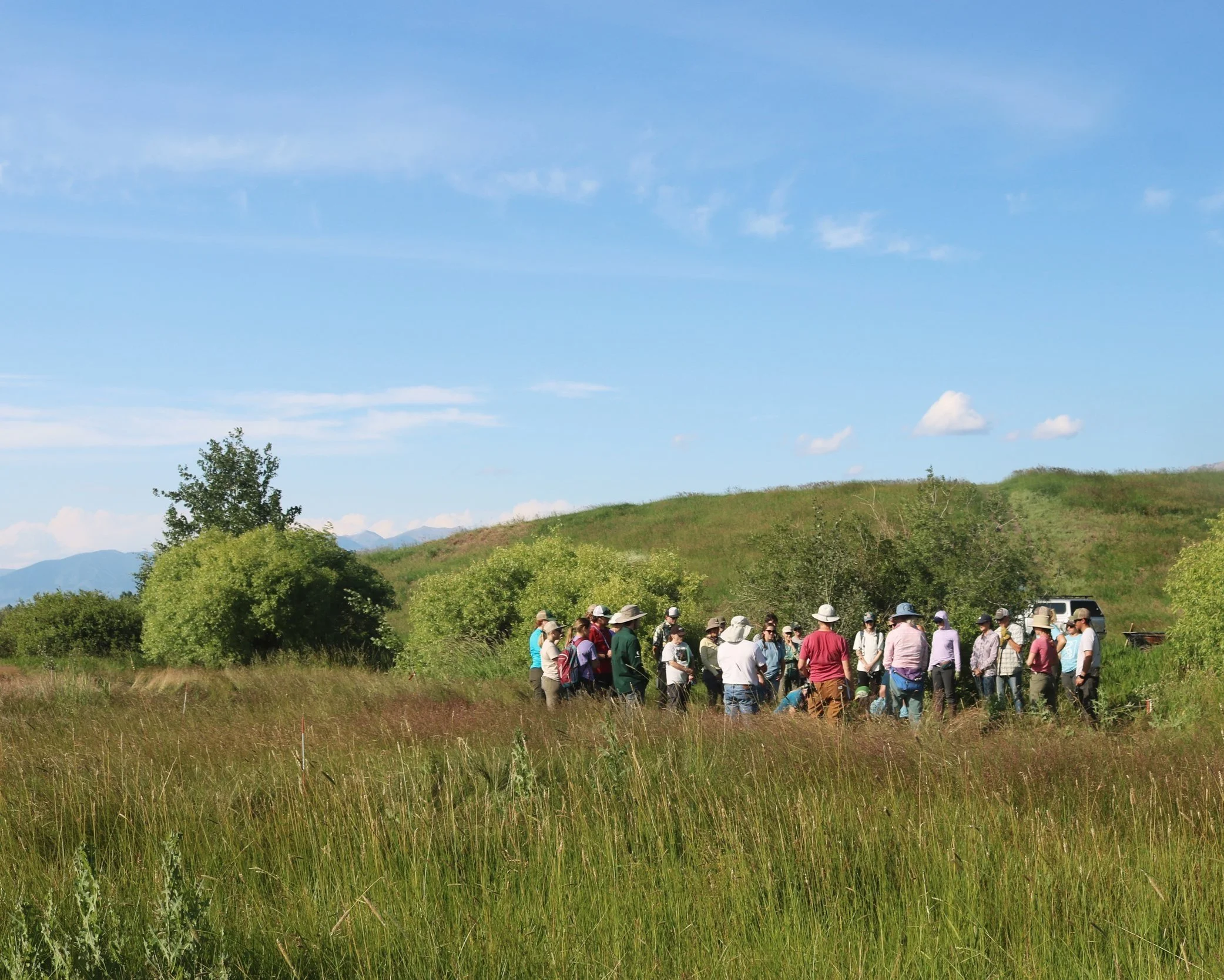 Gallatin County Regional Park Gets a Little More Bushy — Gallatin ...
