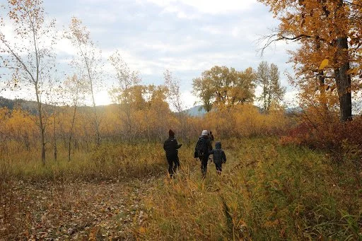 Streamside Landscapes — Gallatin Watershed Council
