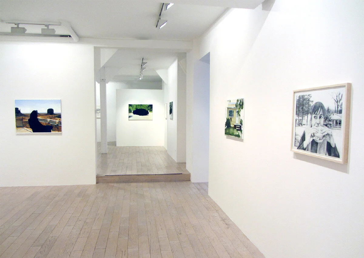 PARIS: David Lefebvre: Picture(s), Jan 12 - Feb 23, 2013 — Zürcher Gallery