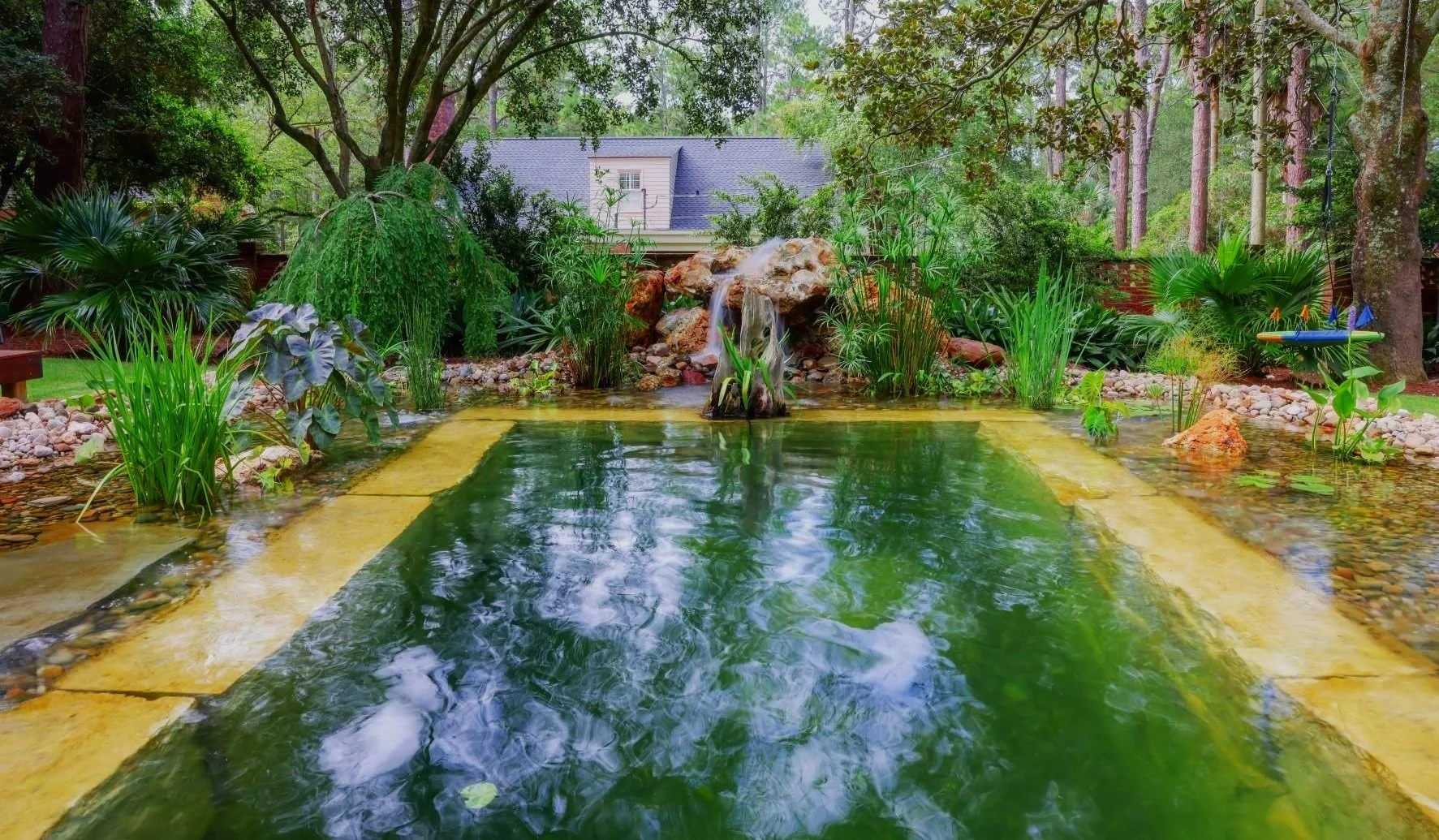 Natural Swimming Pools — Avery Outdoor Design
