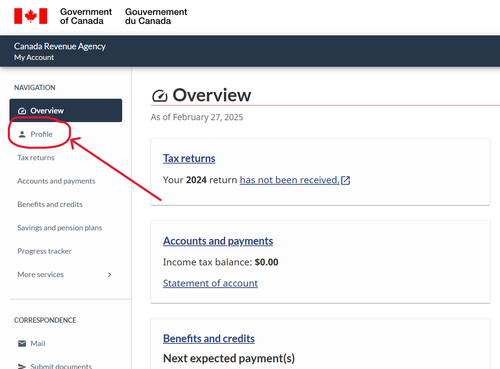How Can I Authorize a Representative on CRA? (Individual Accounts ...