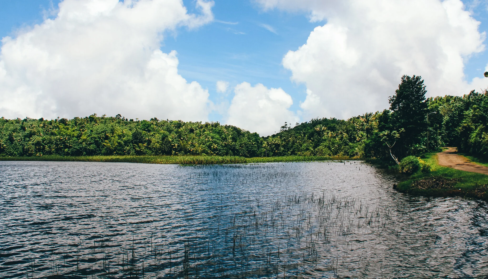 Trip to Grenada — Hesp Food & Travel