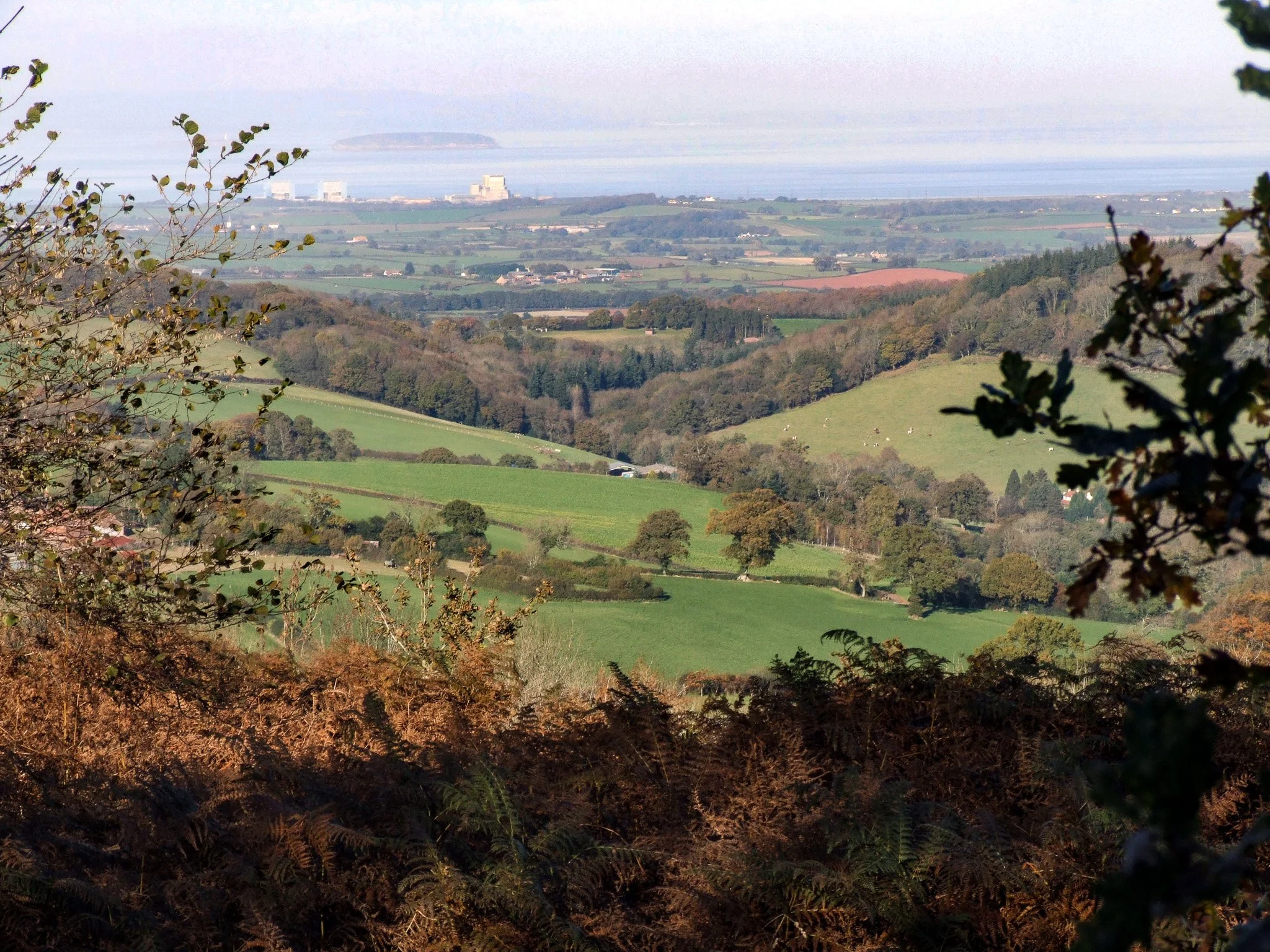 Somerset Walks: Cothelstone, Quantock Hills — Experience the Best of ...