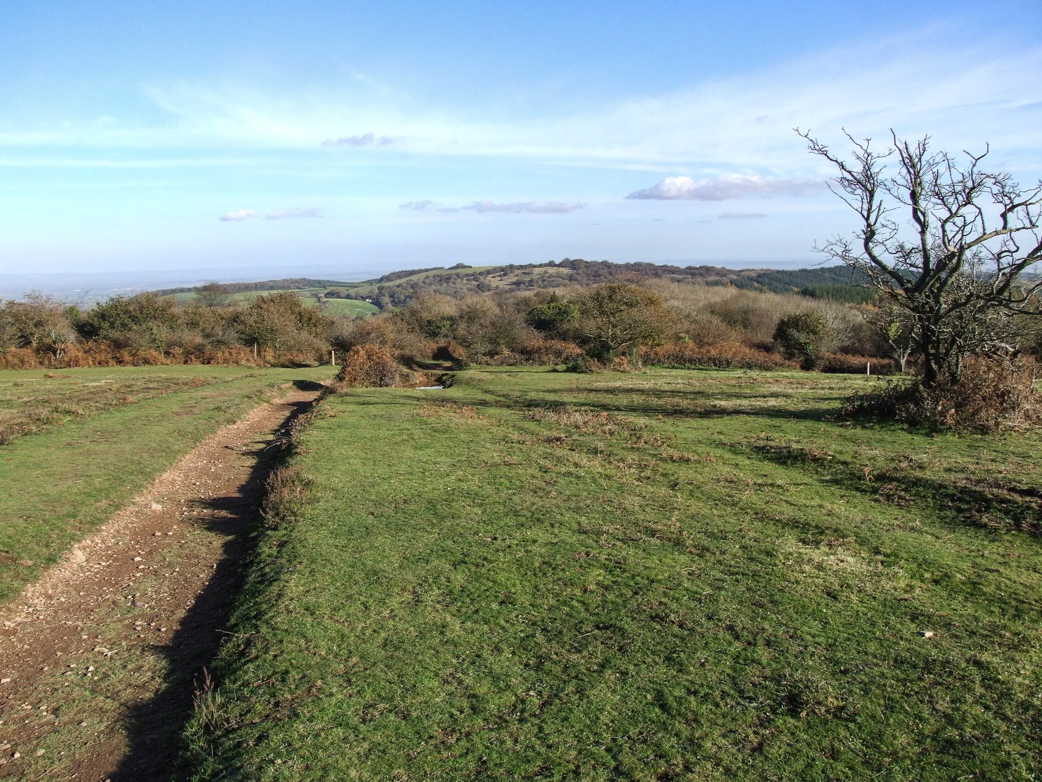 Somerset Walks: Cothelstone, Quantock Hills — Experience the Best of ...