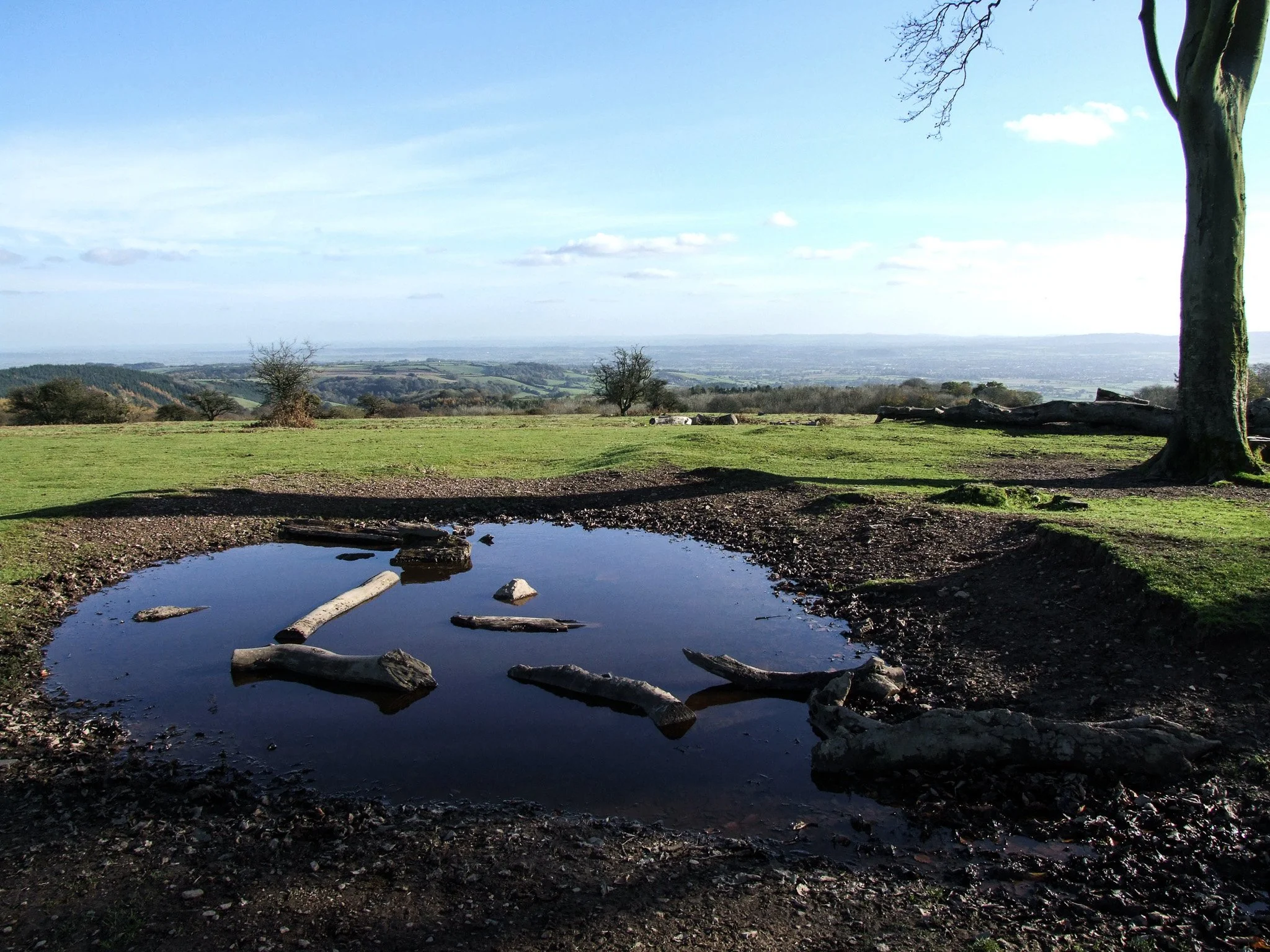 Somerset Walks: Cothelstone, Quantock Hills — Experience the Best of ...