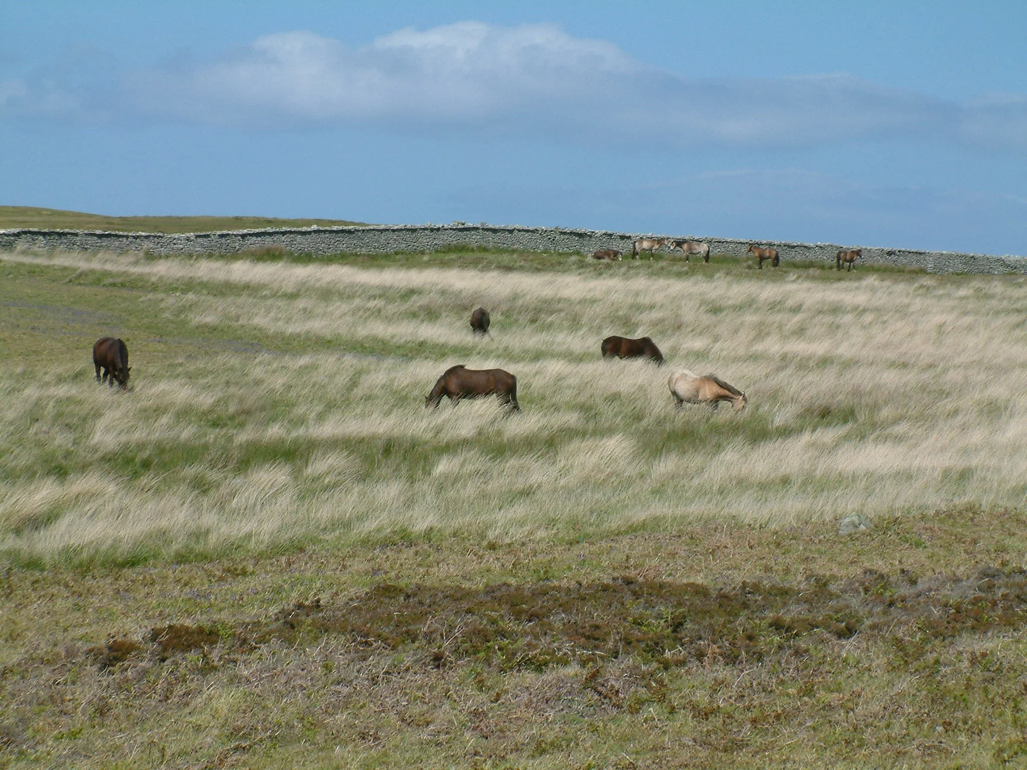 Remembering Lundy Island — Experience the Best of Travel & Food with ...