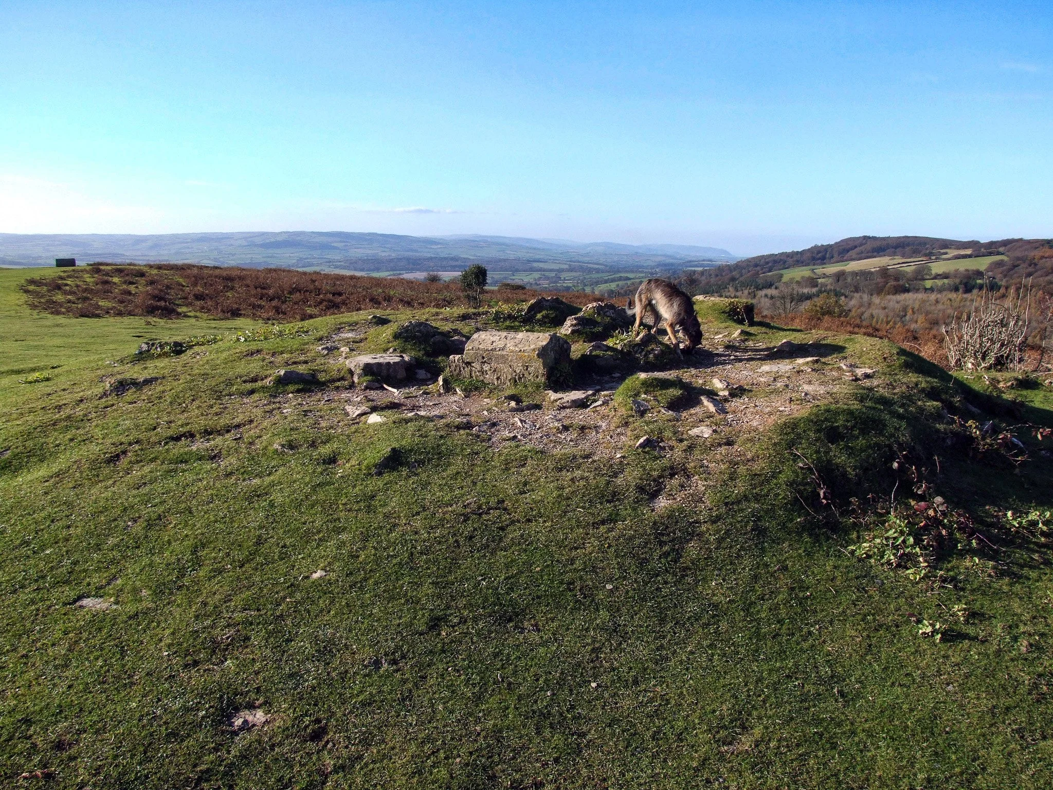 Somerset Walks: Cothelstone, Quantock Hills — Experience the Best of ...