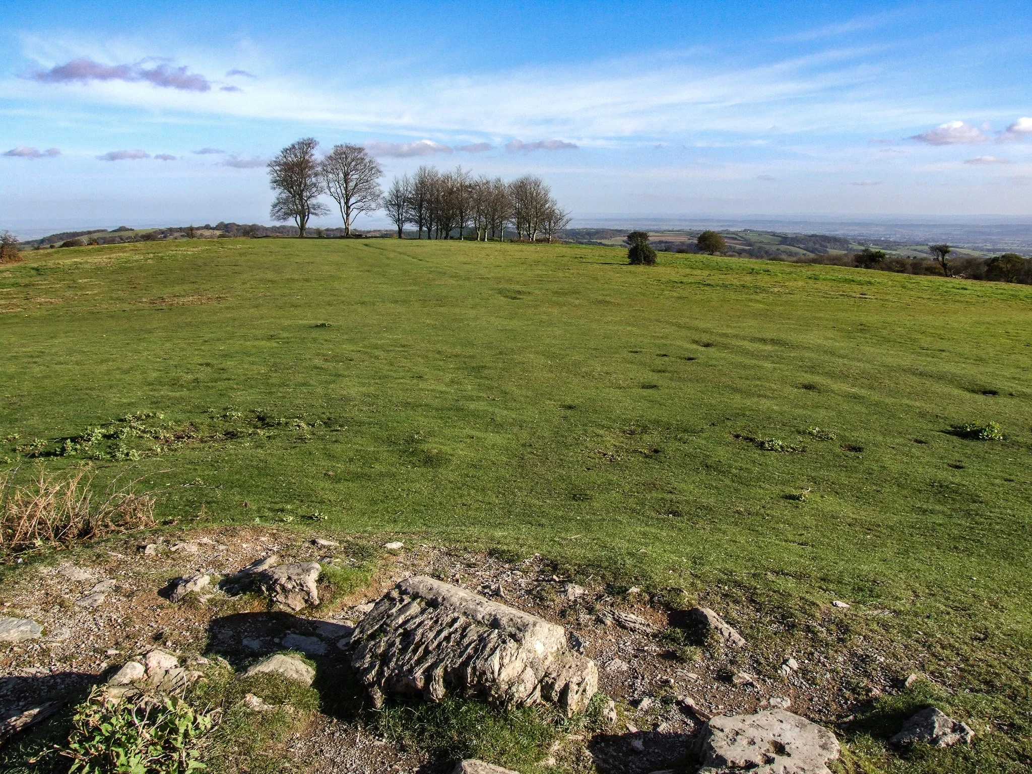 Somerset Walks: Cothelstone, Quantock Hills — Experience the Best of ...
