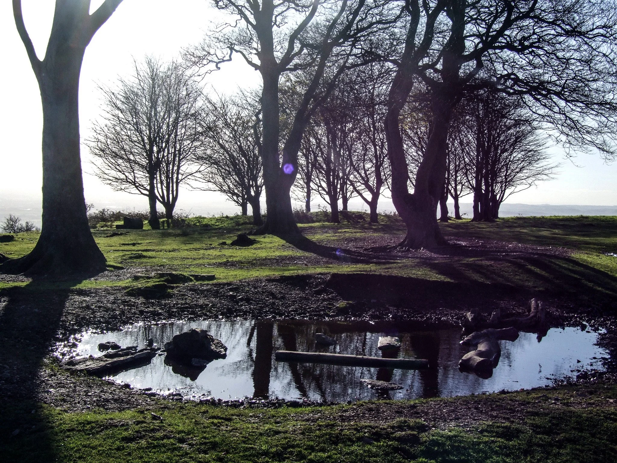 Somerset Walks: Cothelstone, Quantock Hills — Experience the Best of ...
