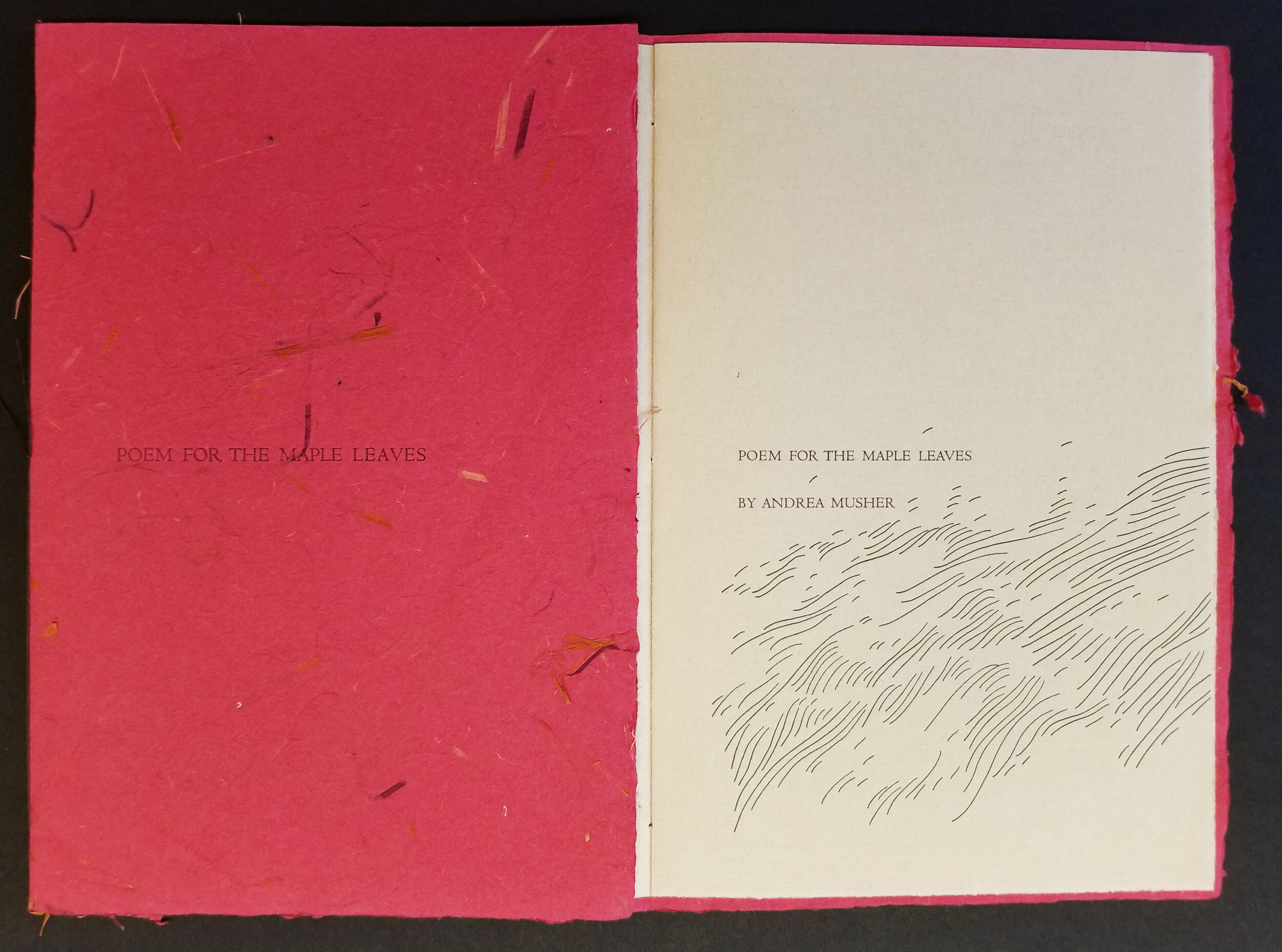 RICHARD ZAUFT EDITIONS