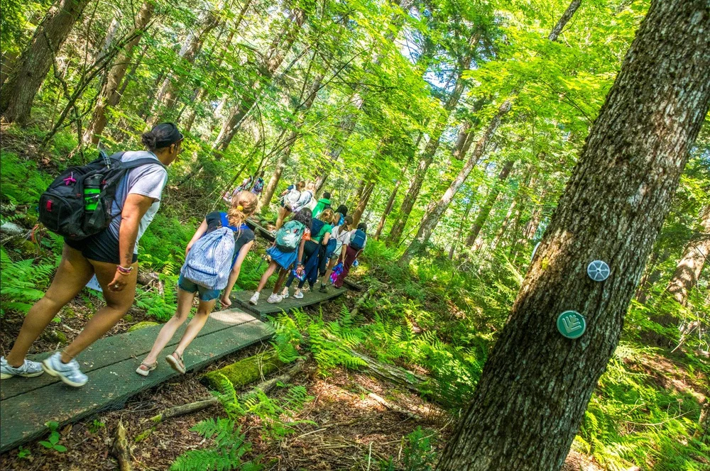 Girls Overnight Camp — Eagle Island Camp