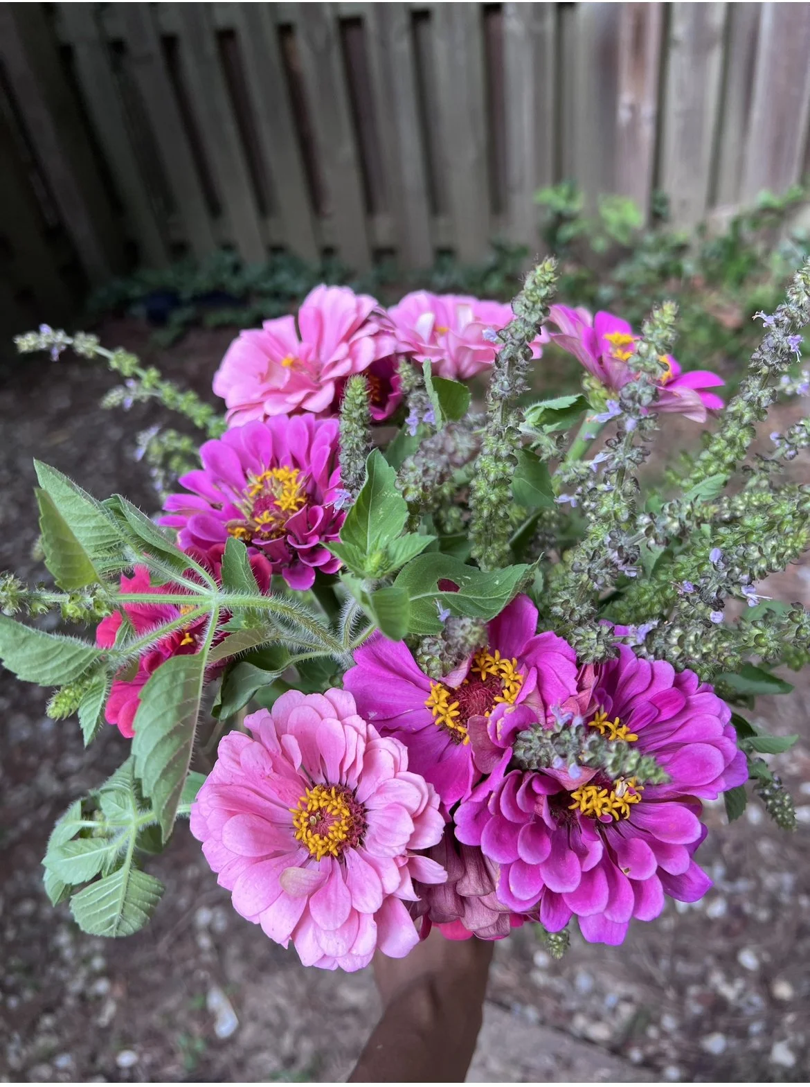 What About Your Friends? A Libra SZN Reflection — Whole with Joy, PLLC