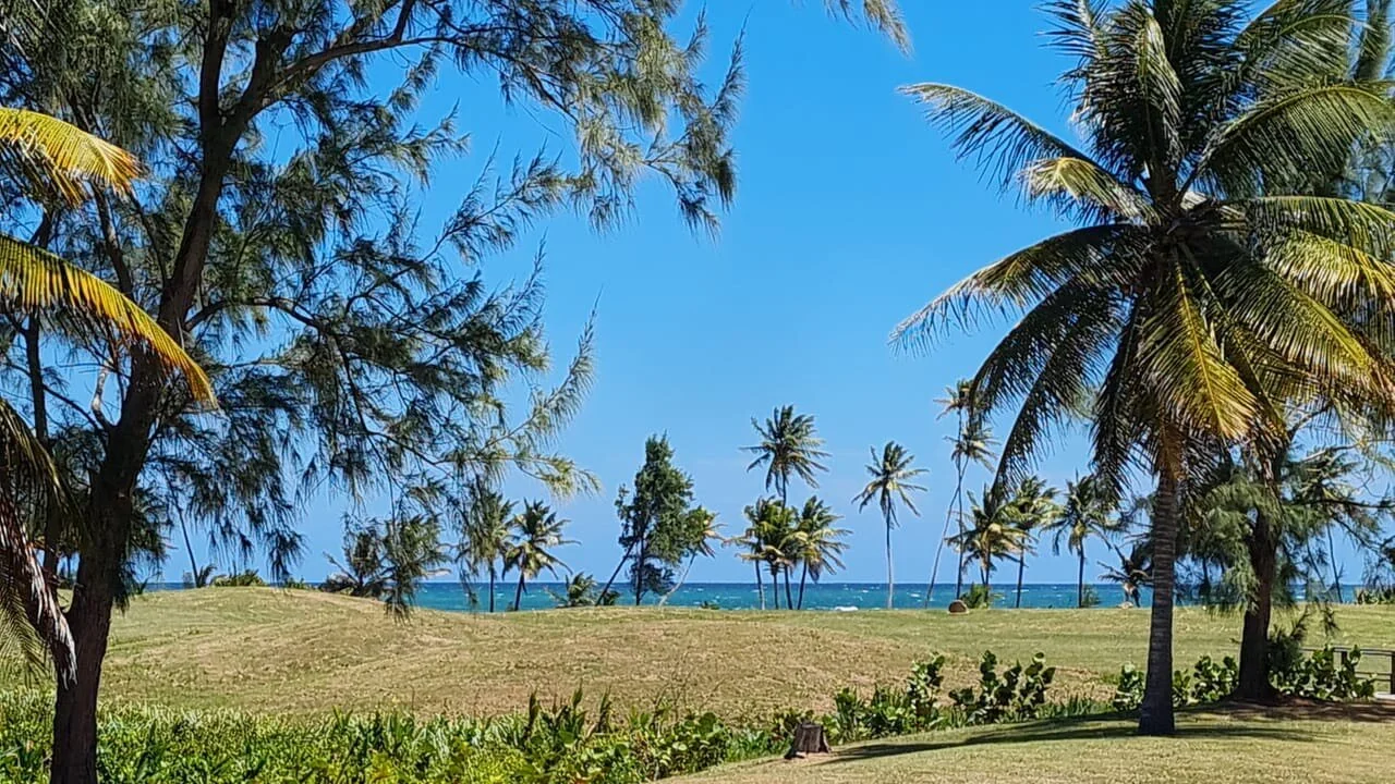 Ocean Air (2 bedrooms) — Hove Estate