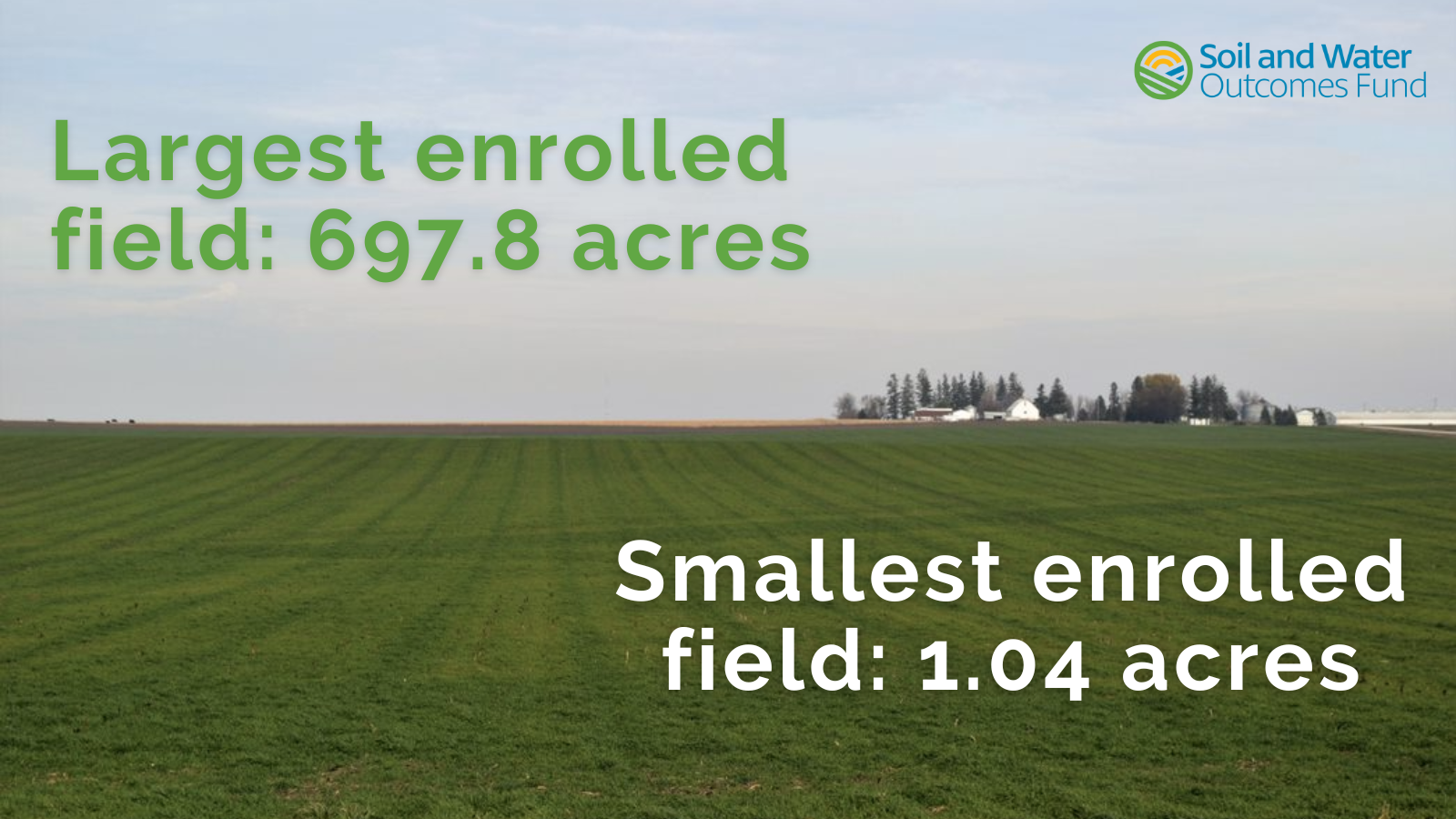 SWOF Recap: 2022 By The Numbers