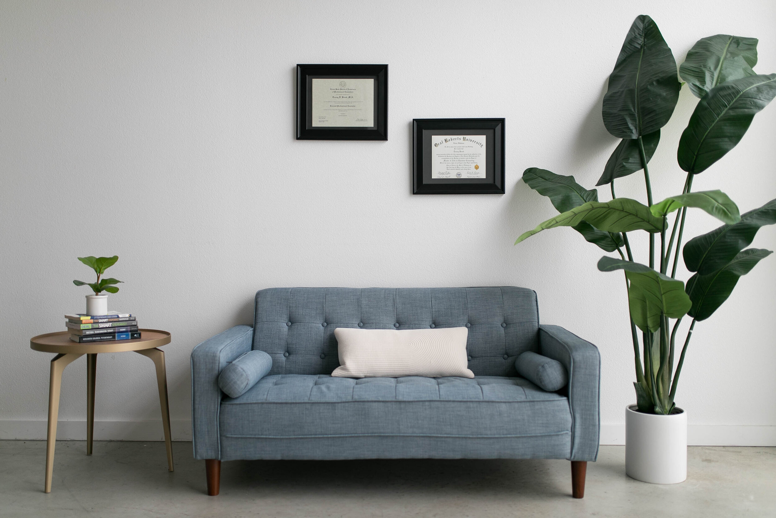 Brock Transformational Therapy