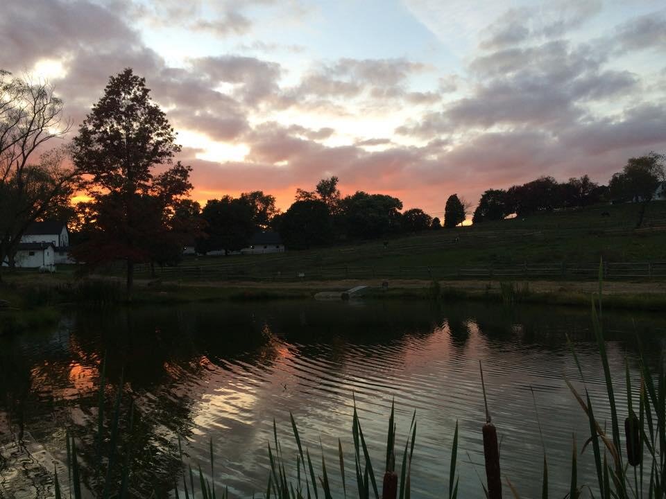 Boarding — Barberry Farm