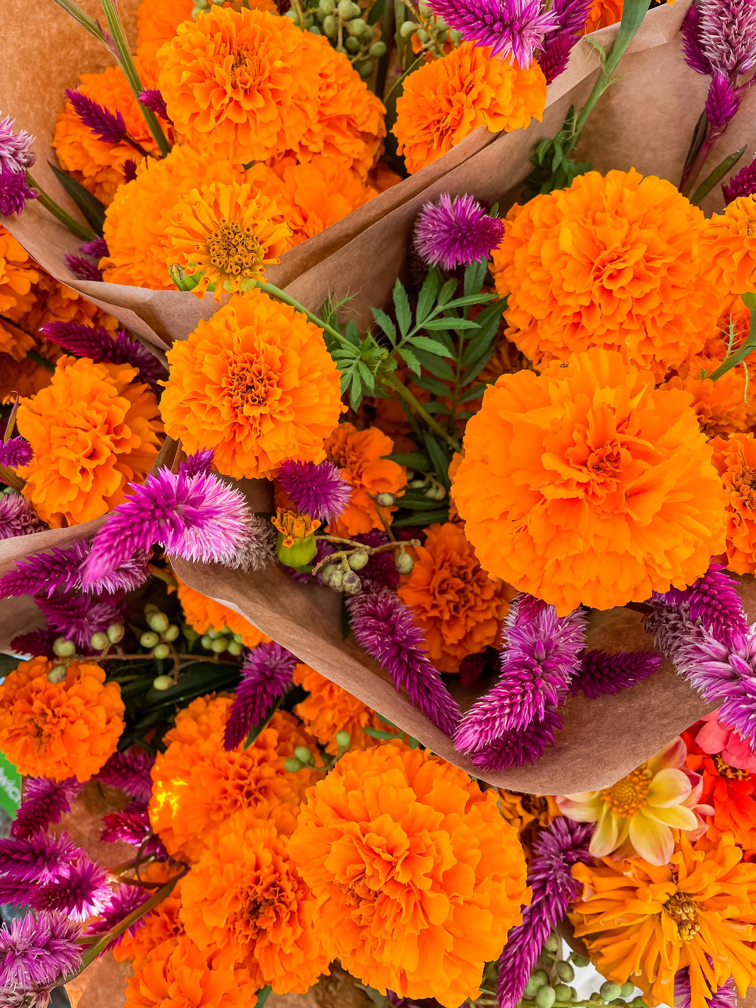 Vendors — The Informal Grub