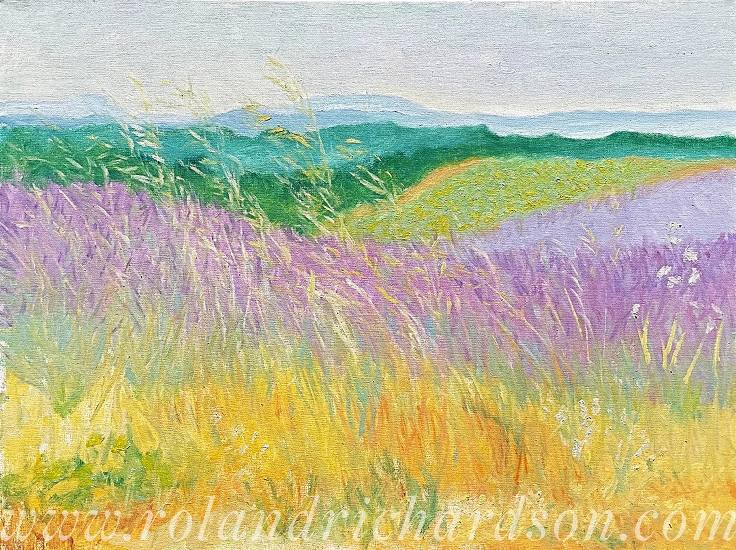 Wild Lavender Fields