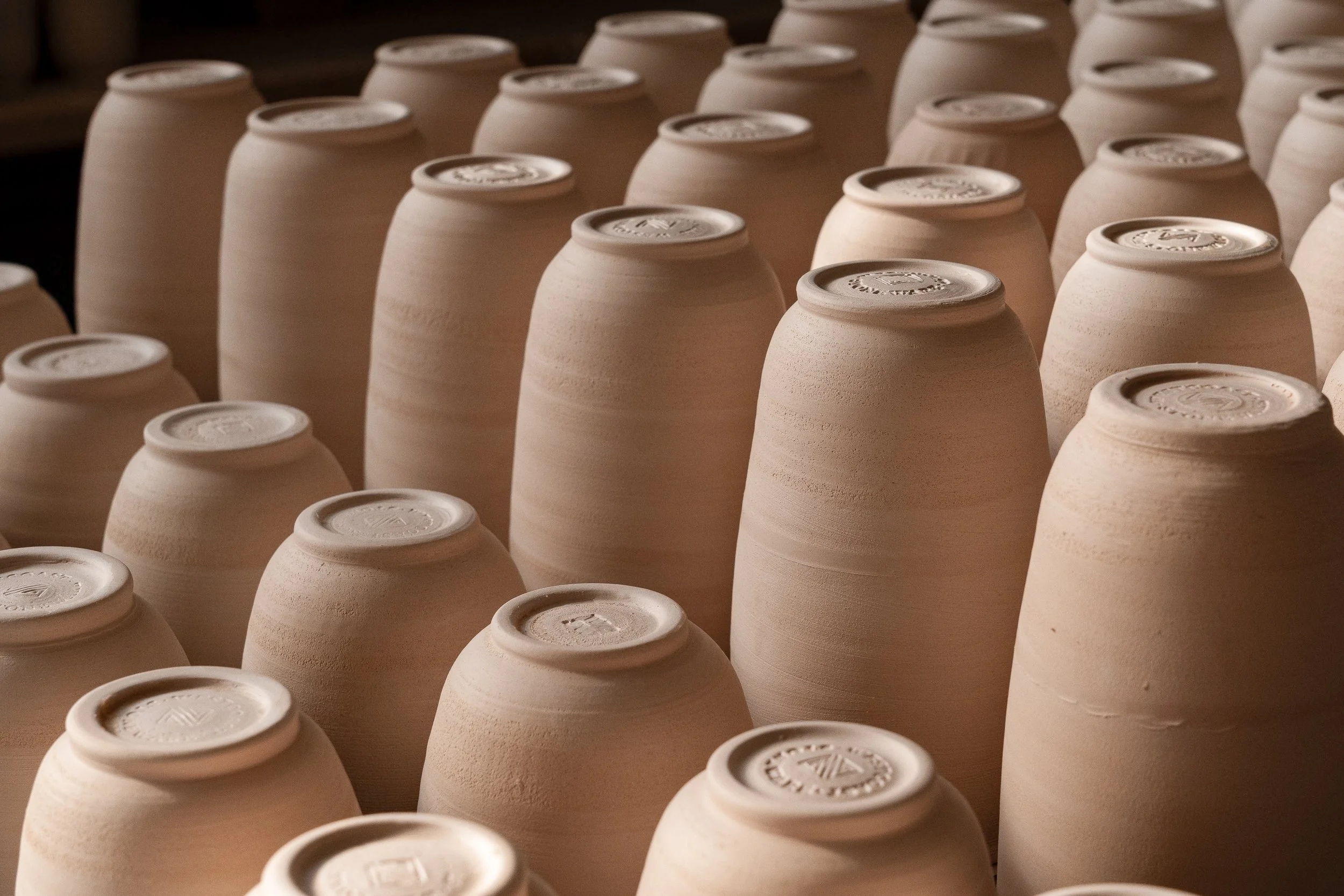 Adults — Ranger Studio