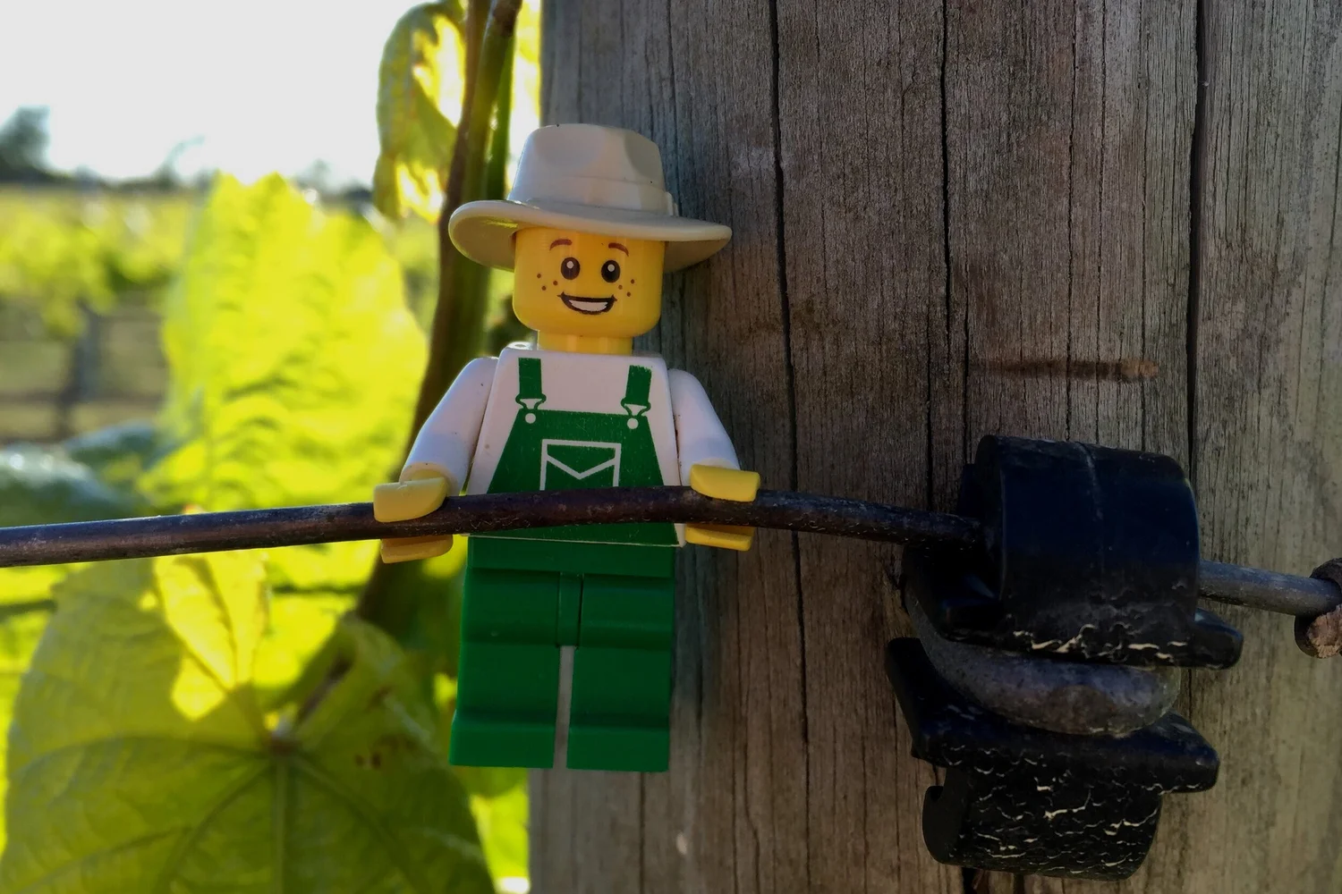 Lego Grower — Heather Collins Consulting