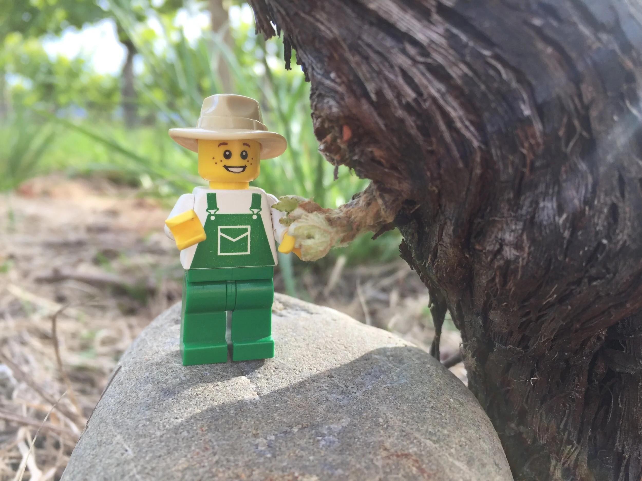 Lego Grower — Heather Collins Consulting