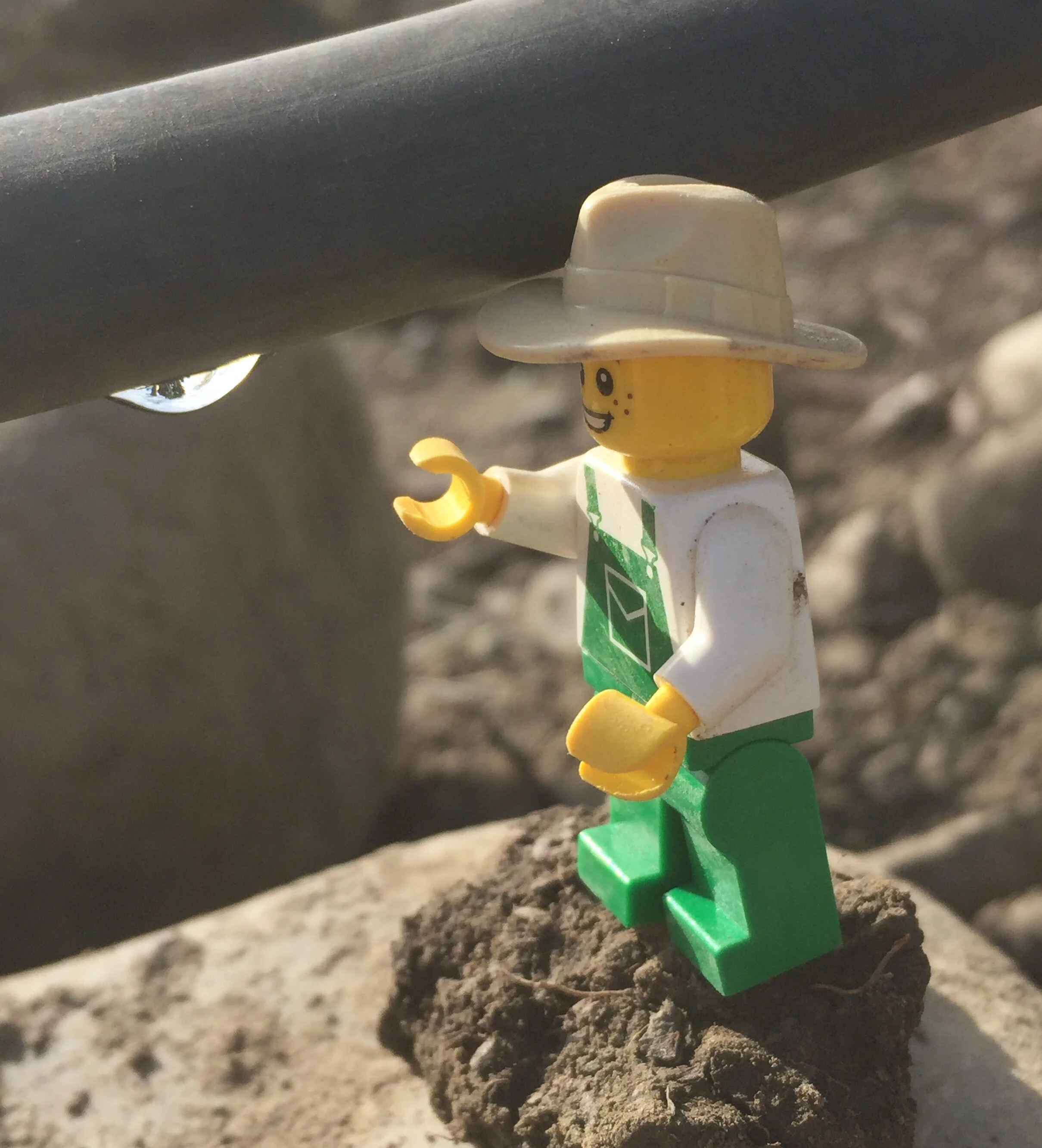 Lego Grower — Heather Collins Consulting