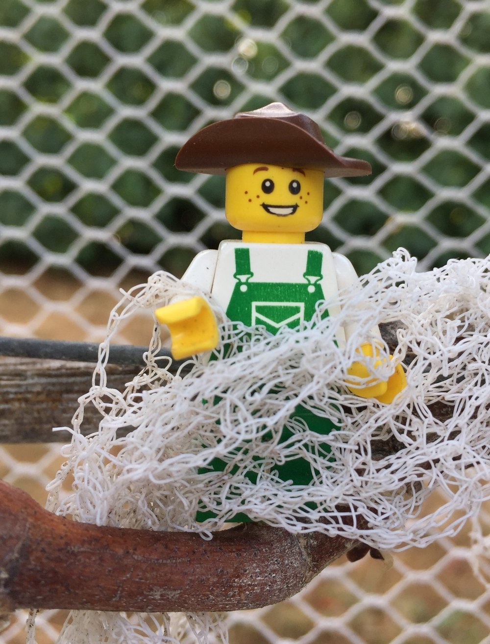 Lego Grower — Heather Collins Consulting