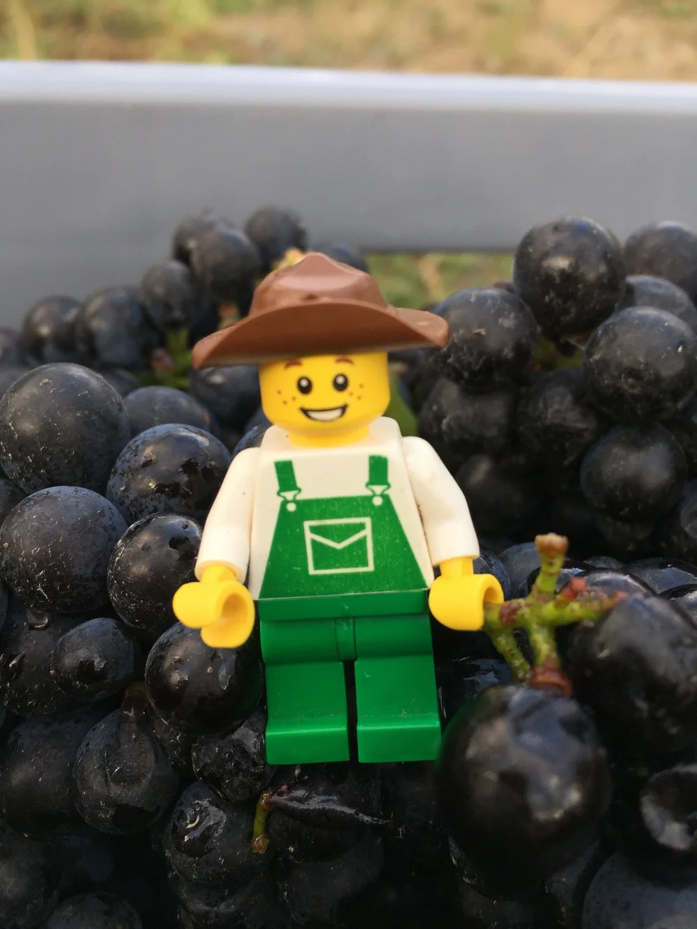 Lego Grower — Heather Collins Consulting