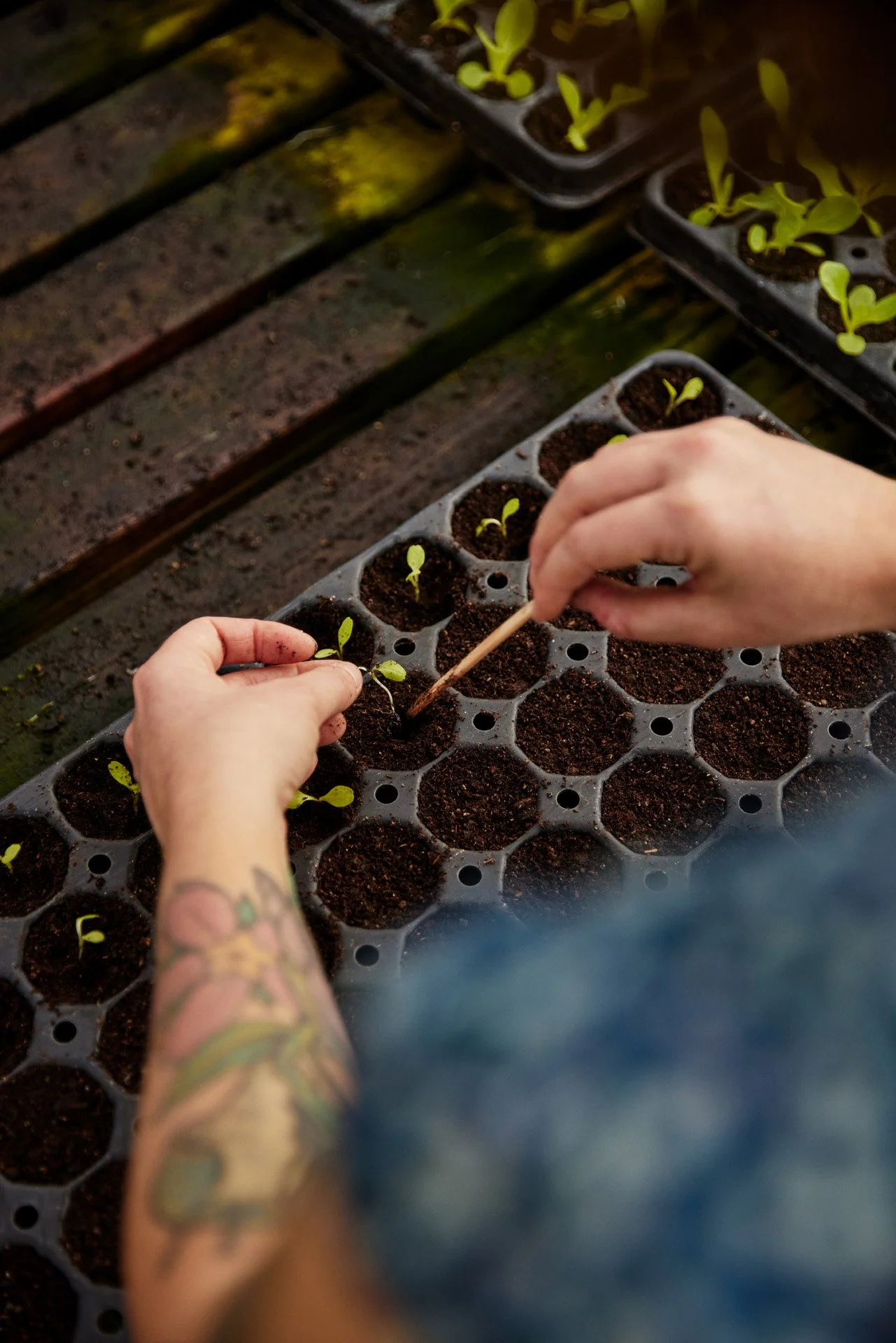 Toi-Ohomai - Hands on campaign — HUNTER STUDIO