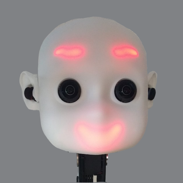 NICo Neuro-Inspired COmpanion — Seed Robotics