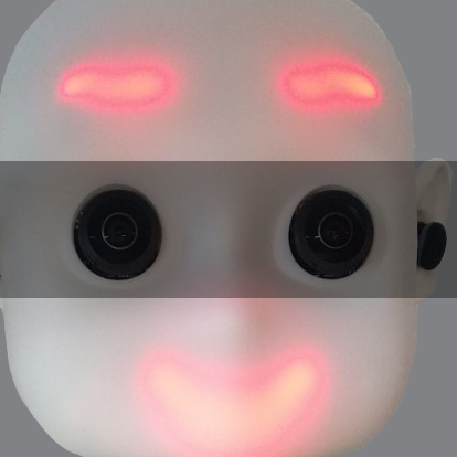 NICo Neuro-Inspired COmpanion — Seed Robotics