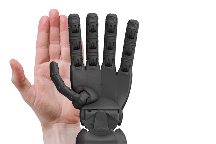 RH8D Adult size Dexterous Robot Hand — Seed Robotics