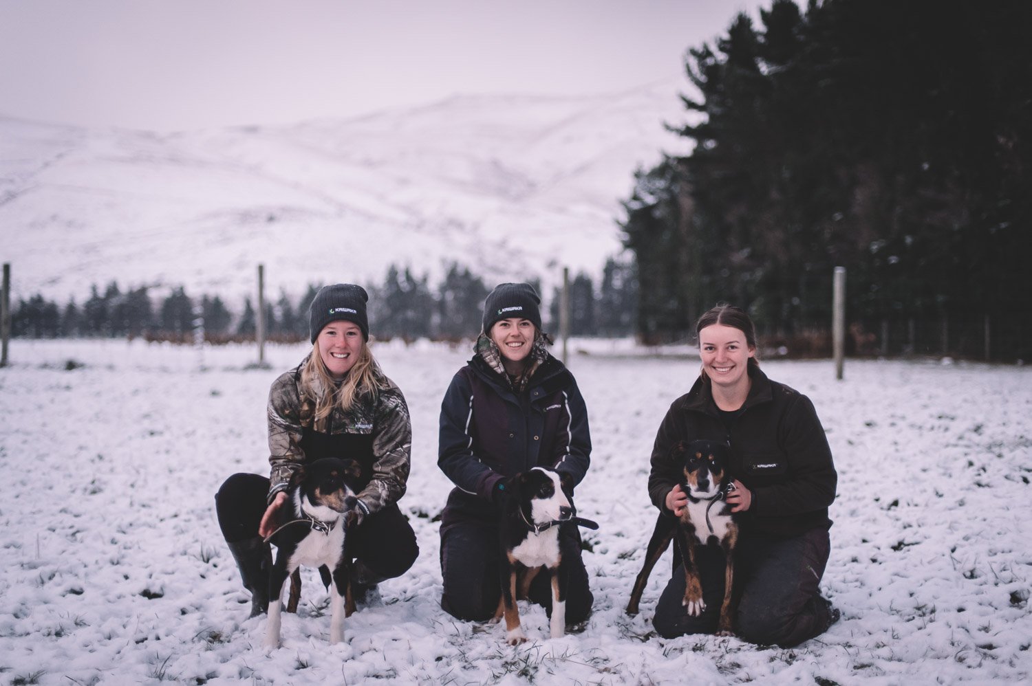 About 1 — Fairlight Station