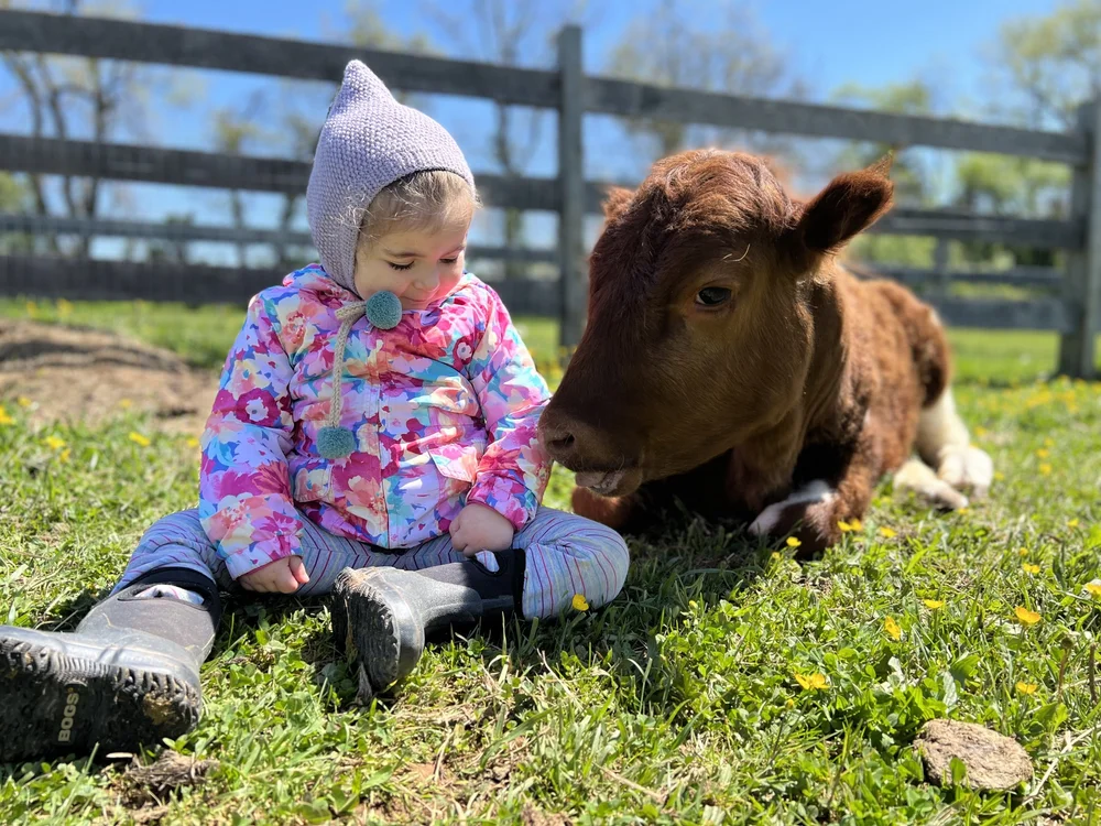 CLASS OFFERINGS — Dreamweaver Equine Center