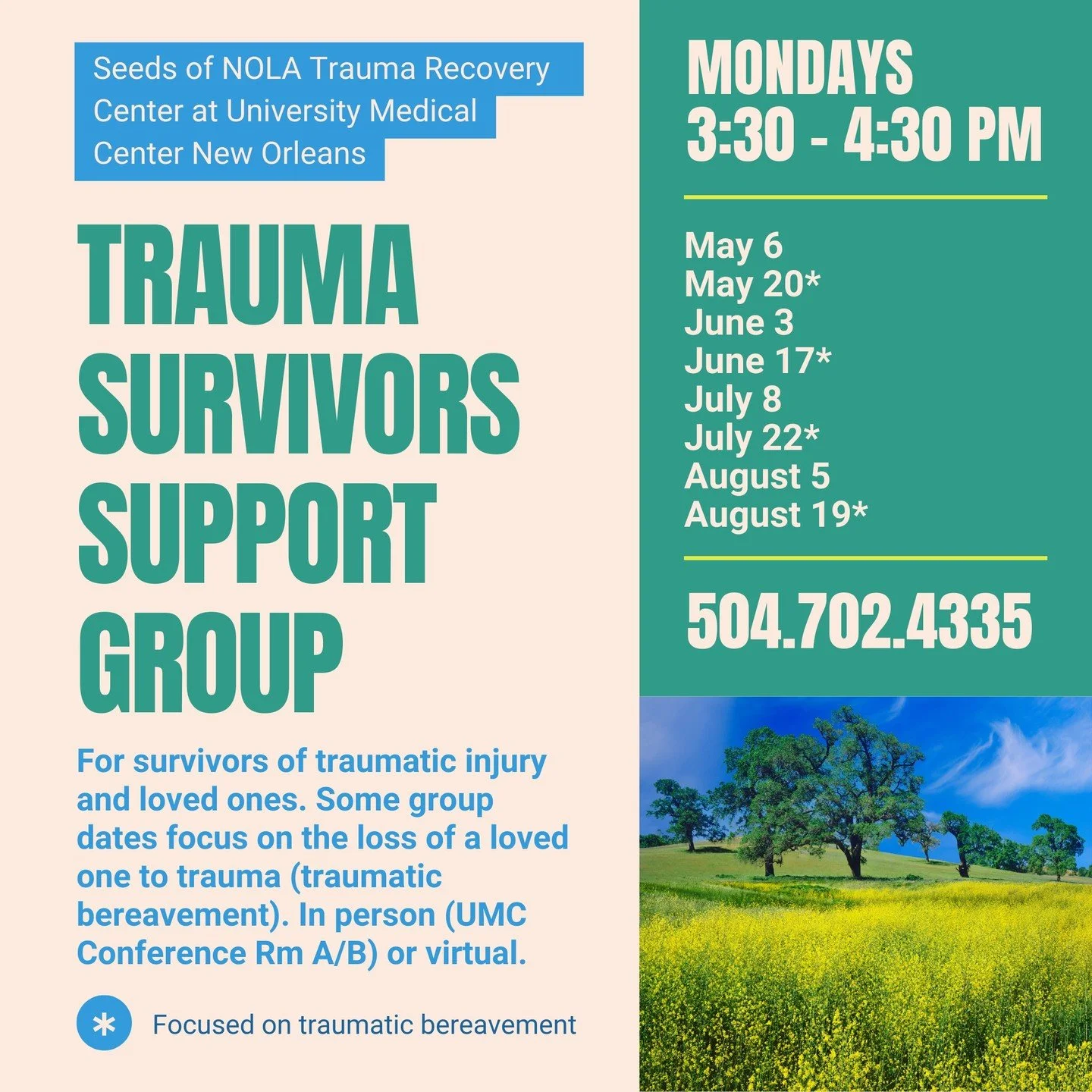 Docket Master — Crime Survivors Guide