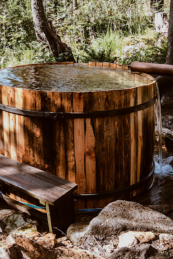 10 Benefits of Cold Plunging — Lydia Kia