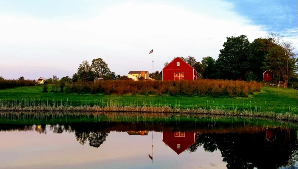 A Tribute — Blueberry Hill Farm