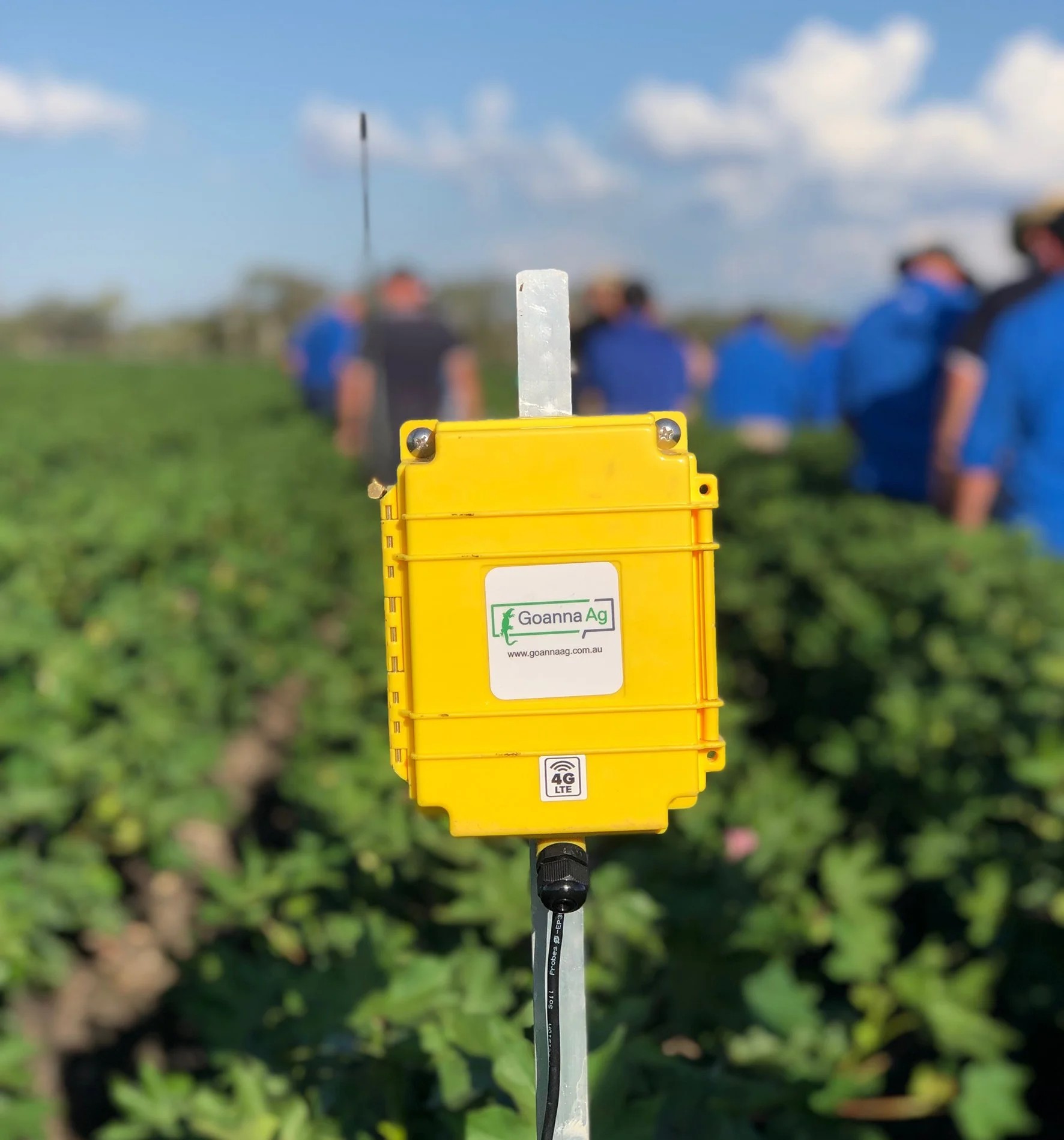 GoField — Goanna Ag