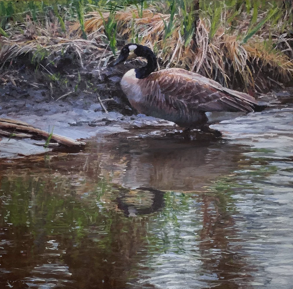Events - past and future — Doug Levitt Studios