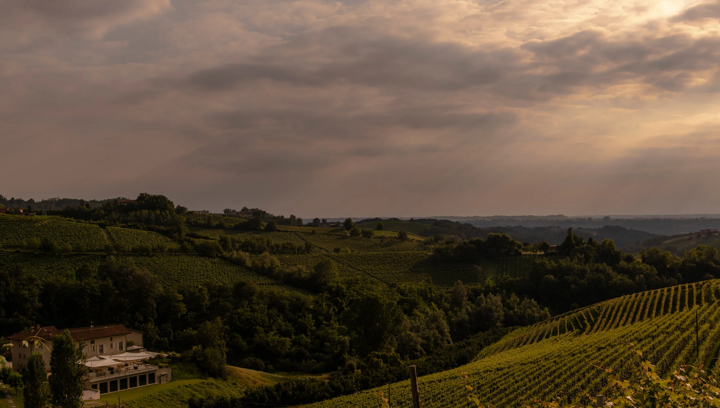 Réva | Wine Resort | Monforte d'Alba