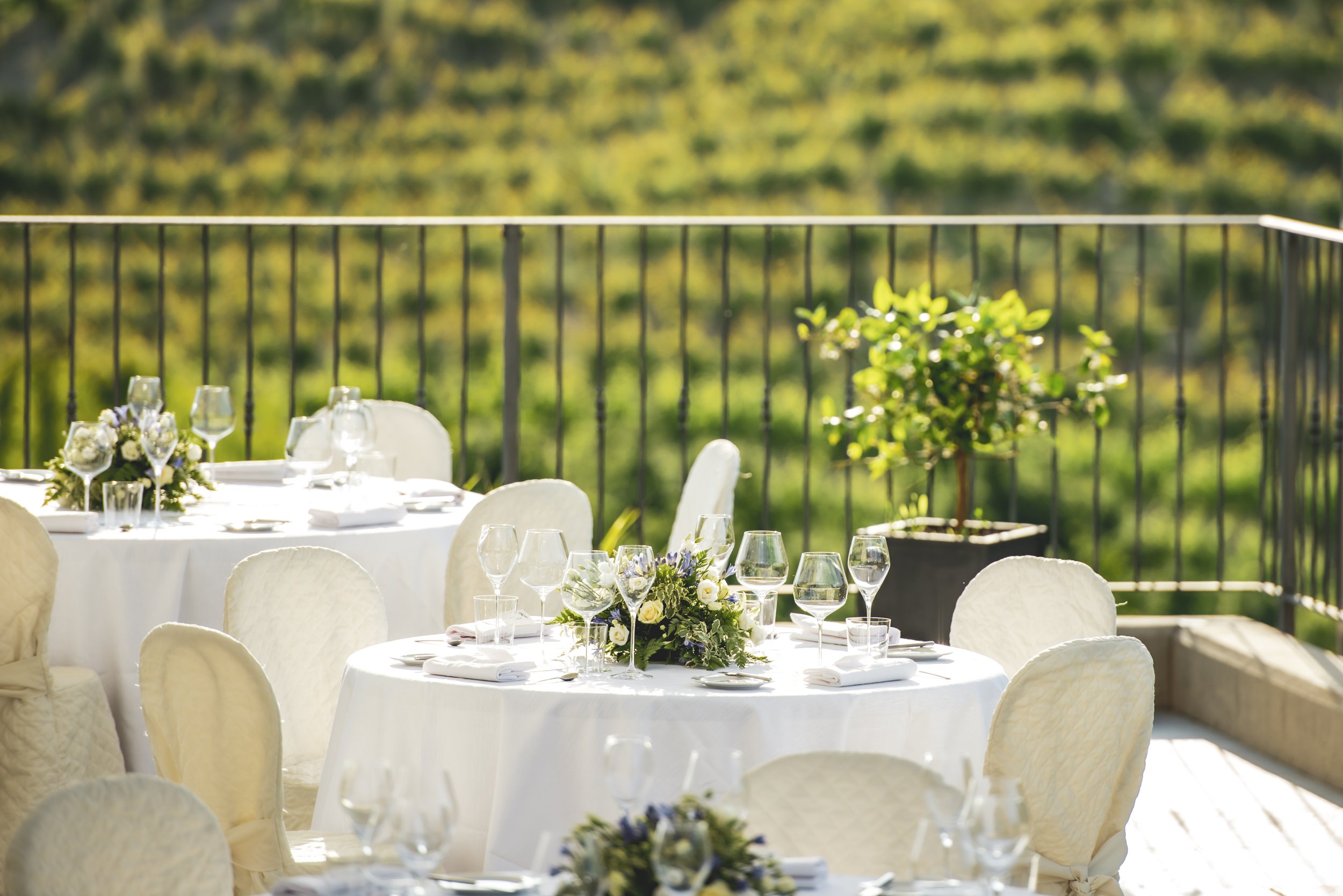 Réva | Wine Resort | Monforte d'Alba