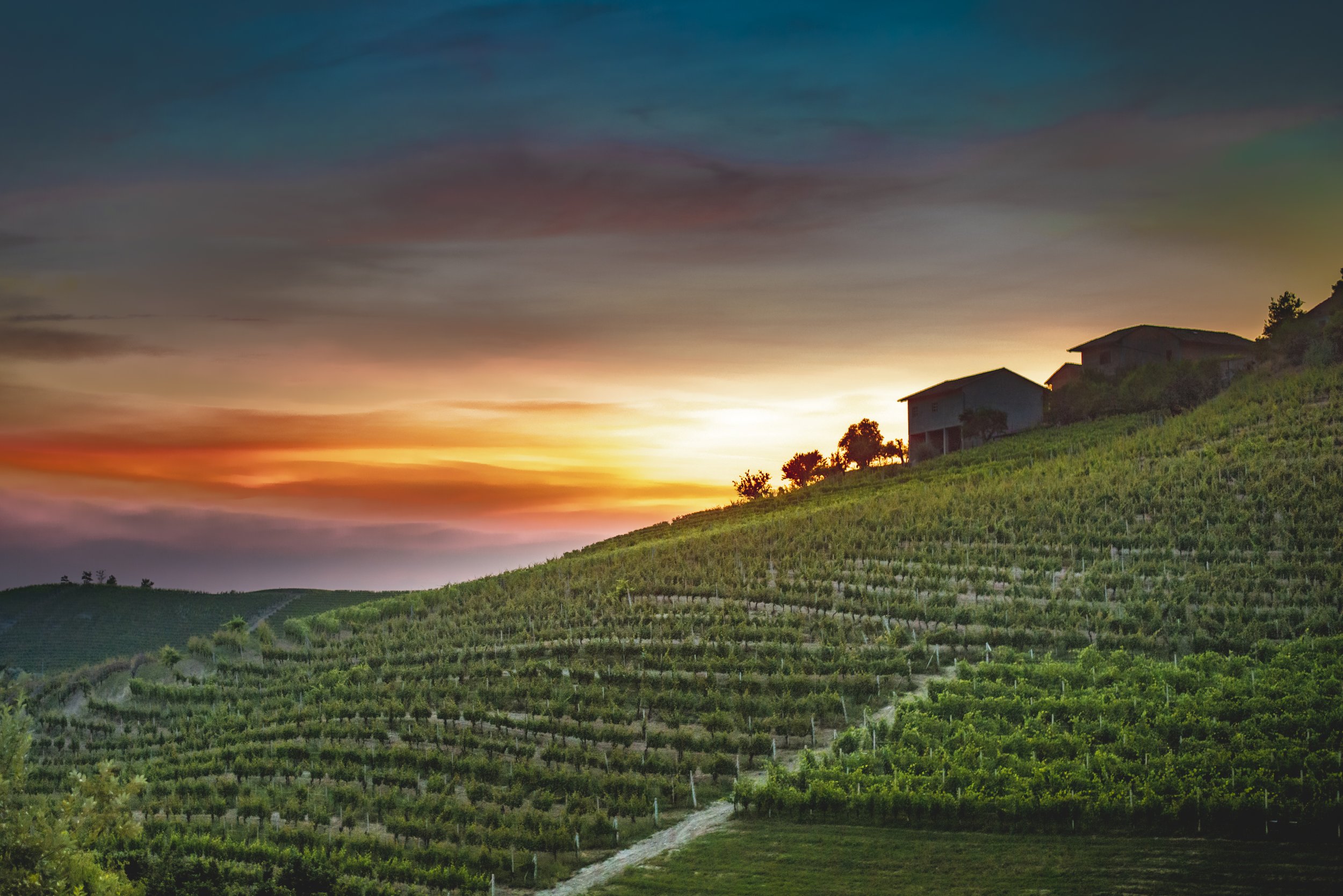 Réva | Wine Resort | Monforte d'Alba