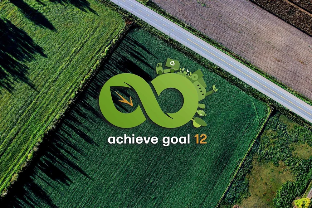 achieve goal 12