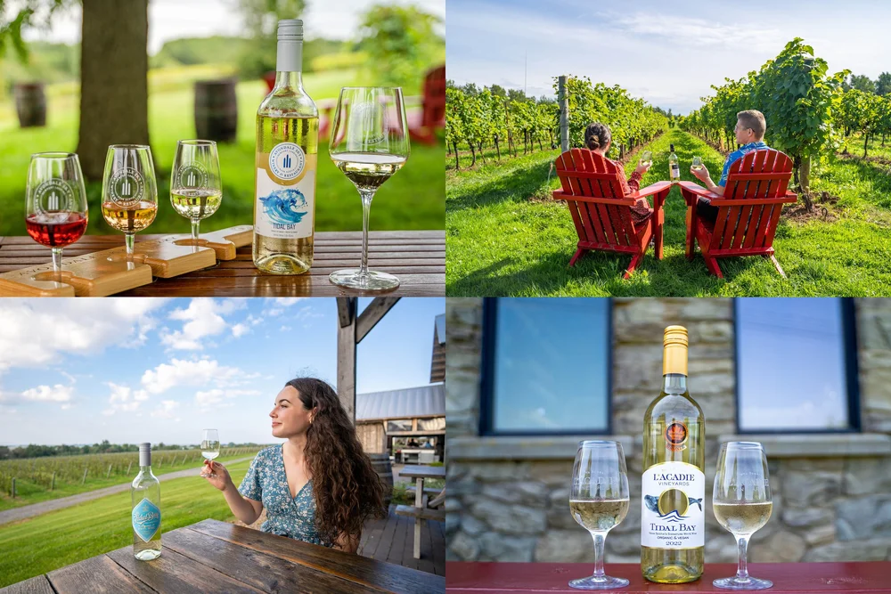 A Guide to Nova Scotia’s Signature Wine : Tidal Bay — DAVEY AND SKY