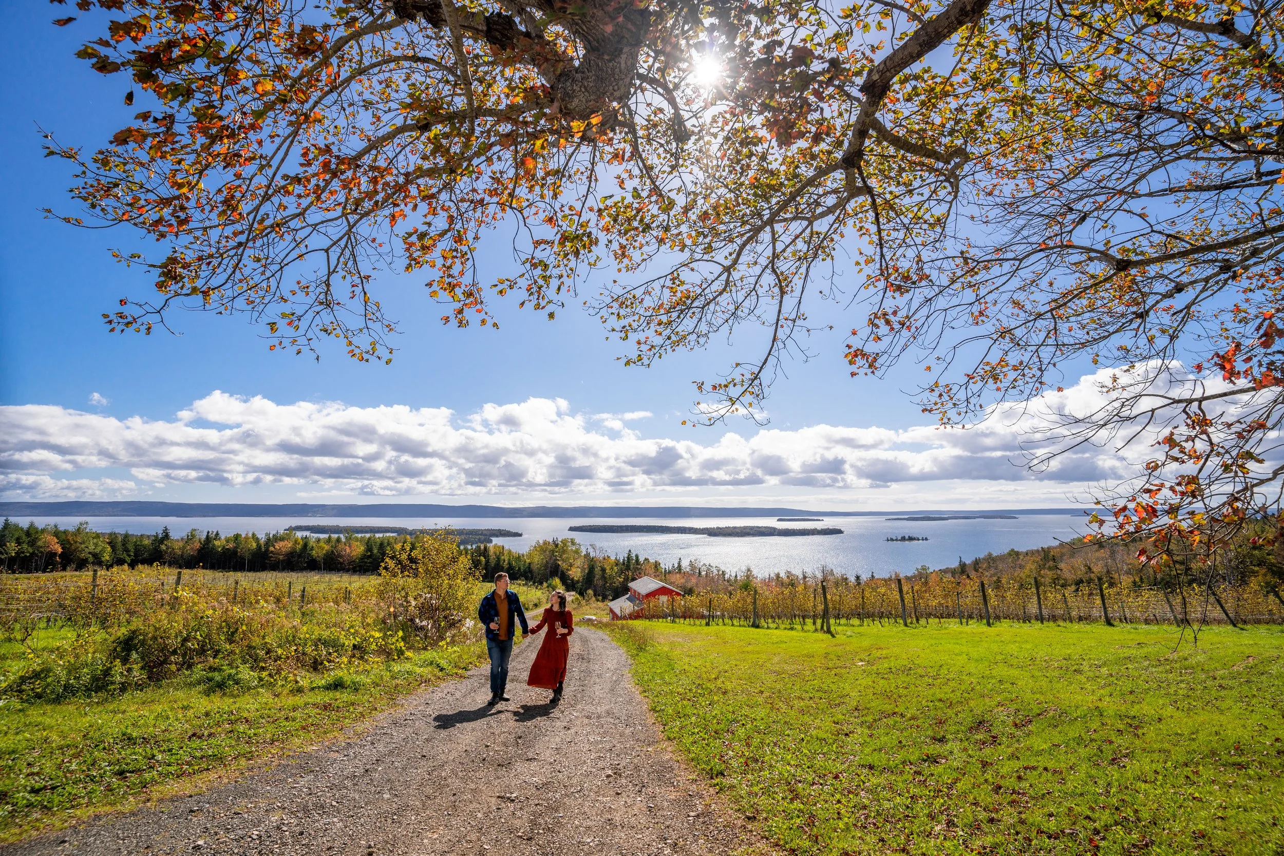 A Guide to Nova Scotia’s Signature Wine : Tidal Bay — DAVEY AND SKY