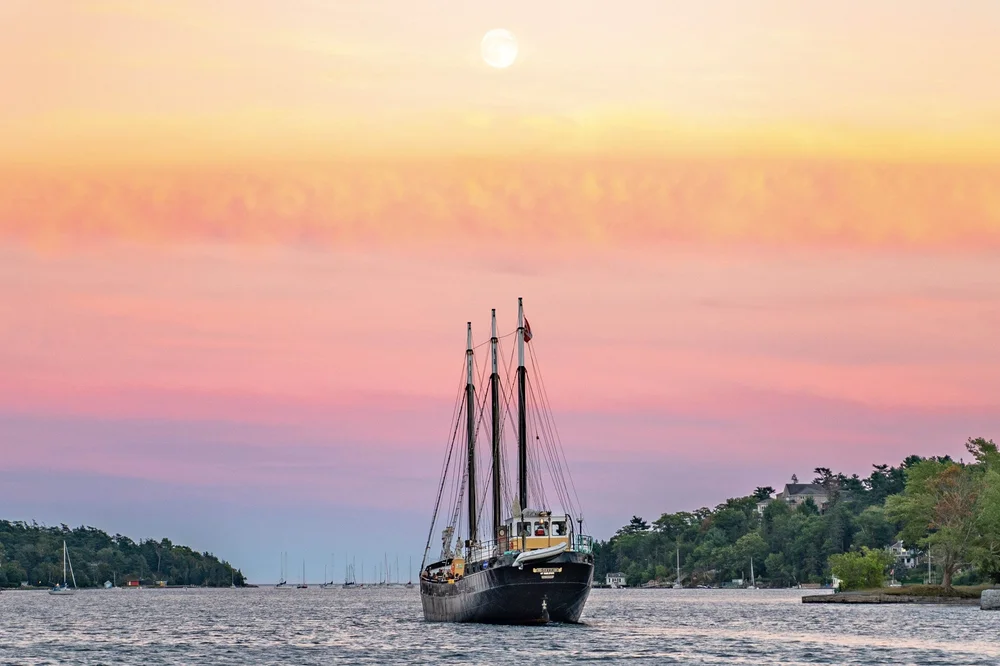 A Guide to Nova Scotia’s Signature Wine : Tidal Bay — DAVEY AND SKY