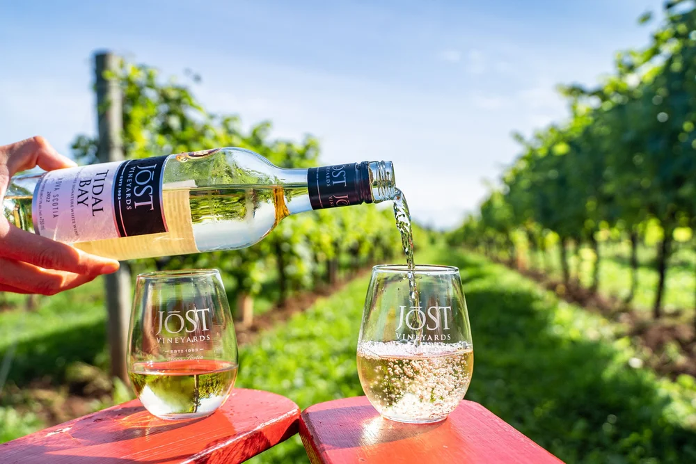 A Guide to Nova Scotia’s Signature Wine : Tidal Bay — DAVEY AND SKY